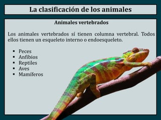 Reino Animal - Vertebrados | PDF