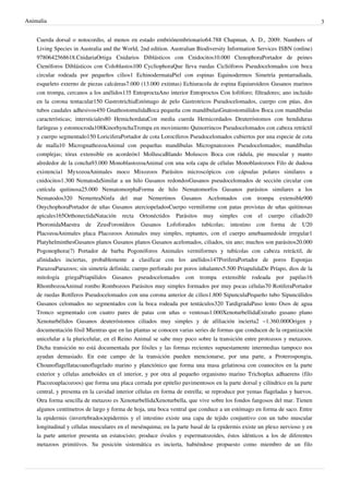 Reino animal fiama | PDF