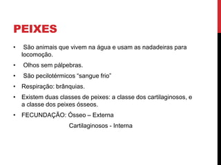 Reino animalia Vertebrados | PPTX