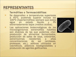 Reino archeobacteria | PPT