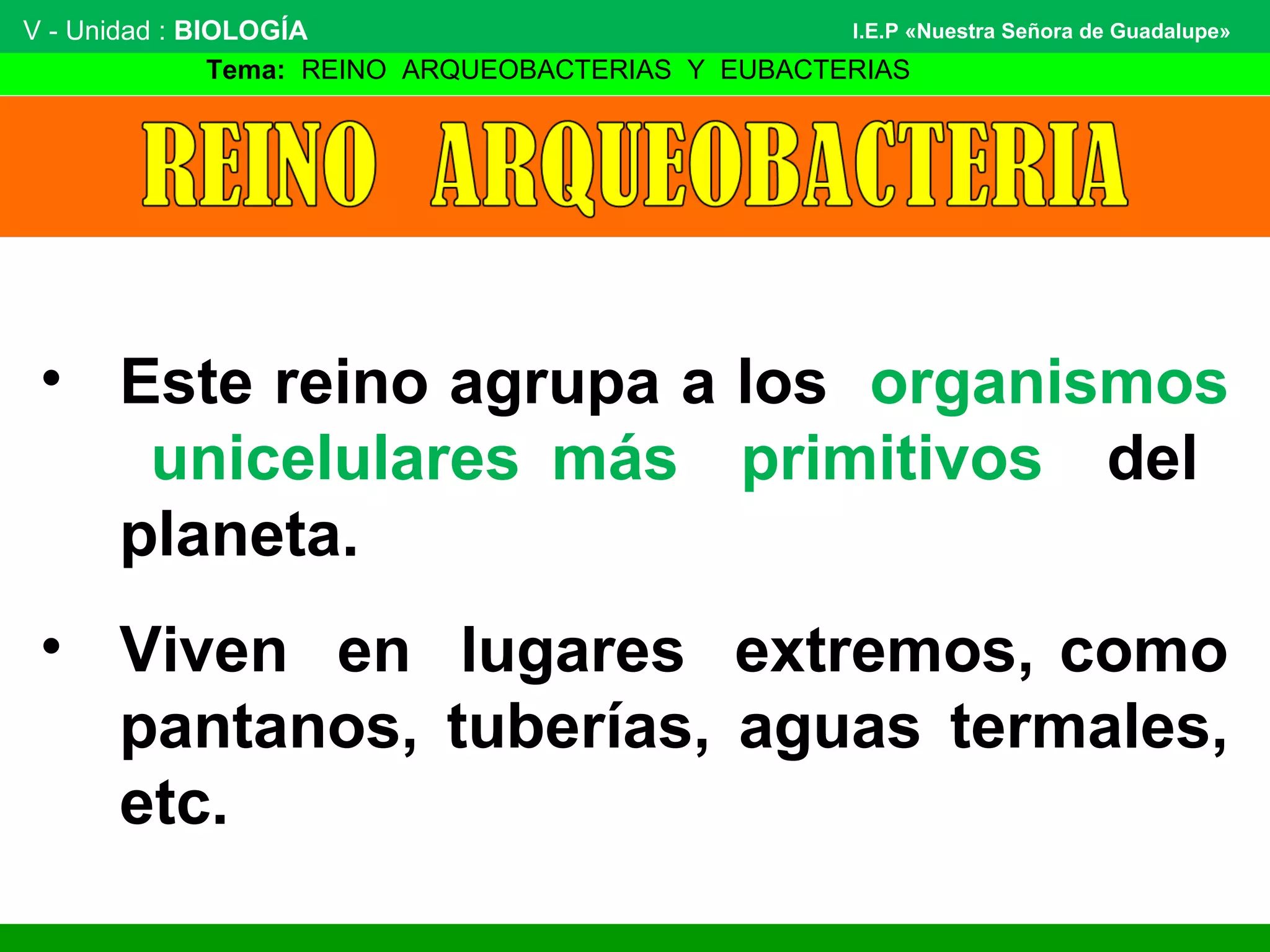 Reino Arqueobacteria