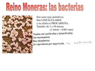 Reino de las moneras | PPTX