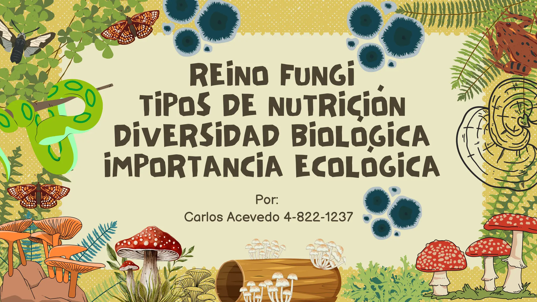 EL increible reino Fungi y sus características | PDF