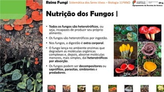 Reino fungi | PPTX