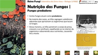 Reino fungi | PPTX