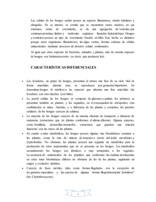 Reino hongo | DOCX