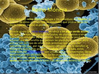 Reino mónera | PPT