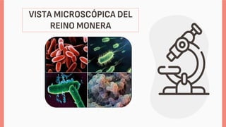 reino monera caracteristicas yy que es .pptx