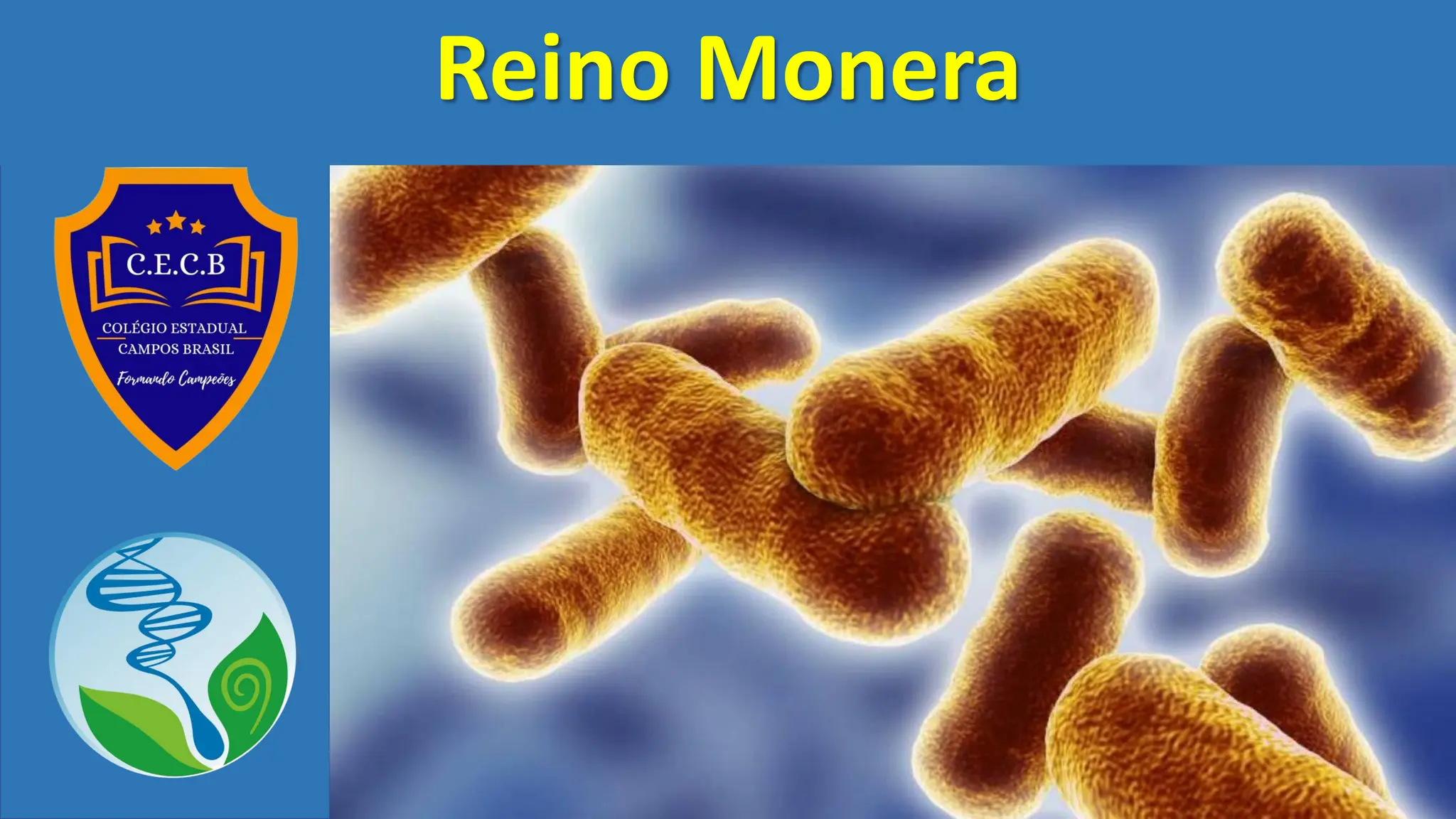 Reino Monera_bactérias_seres procariontes.pdf