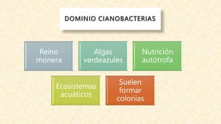 Reino monera- BACTERIAS Y CIANOBACTERIAS.pptx