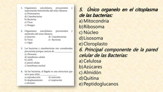 Reino monera- BACTERIAS Y CIANOBACTERIAS.pptx