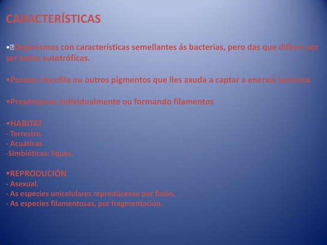 Reino moneras | PPT