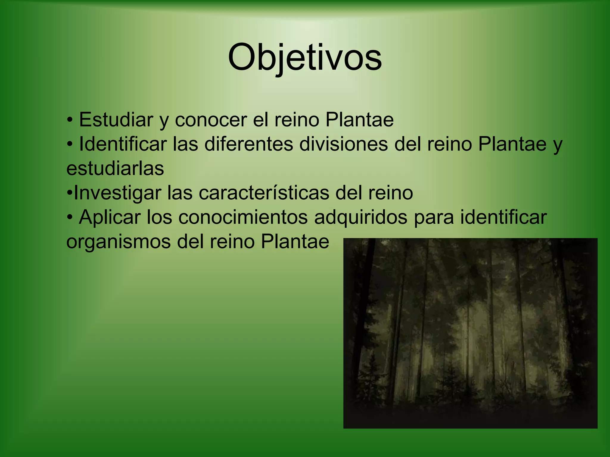 Reino Plantae | PDF