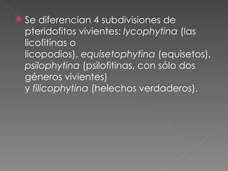 Reino plantae | PPS