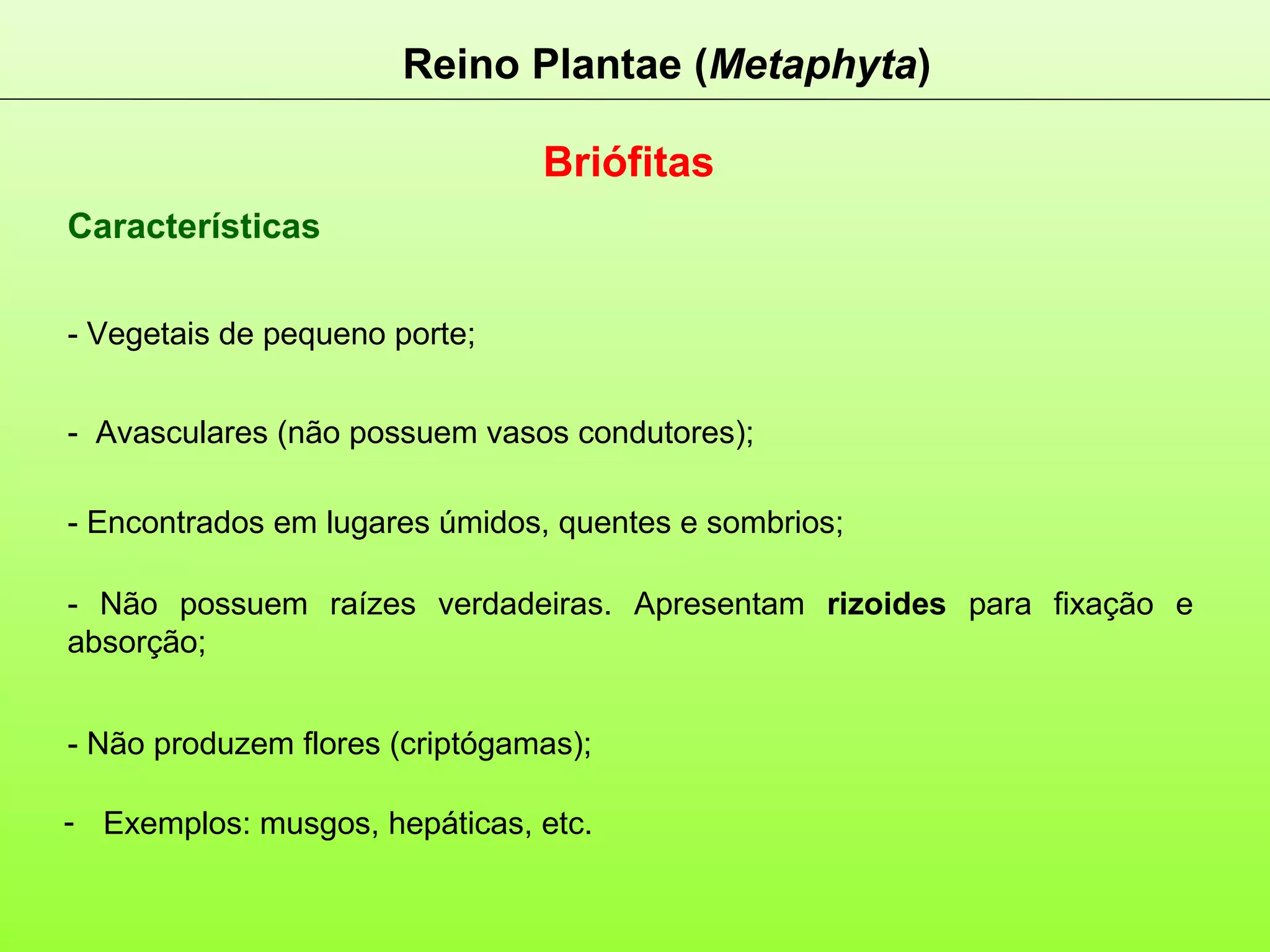 Reino planta (metaphyta) | PPT | Biological Sciences | Science
