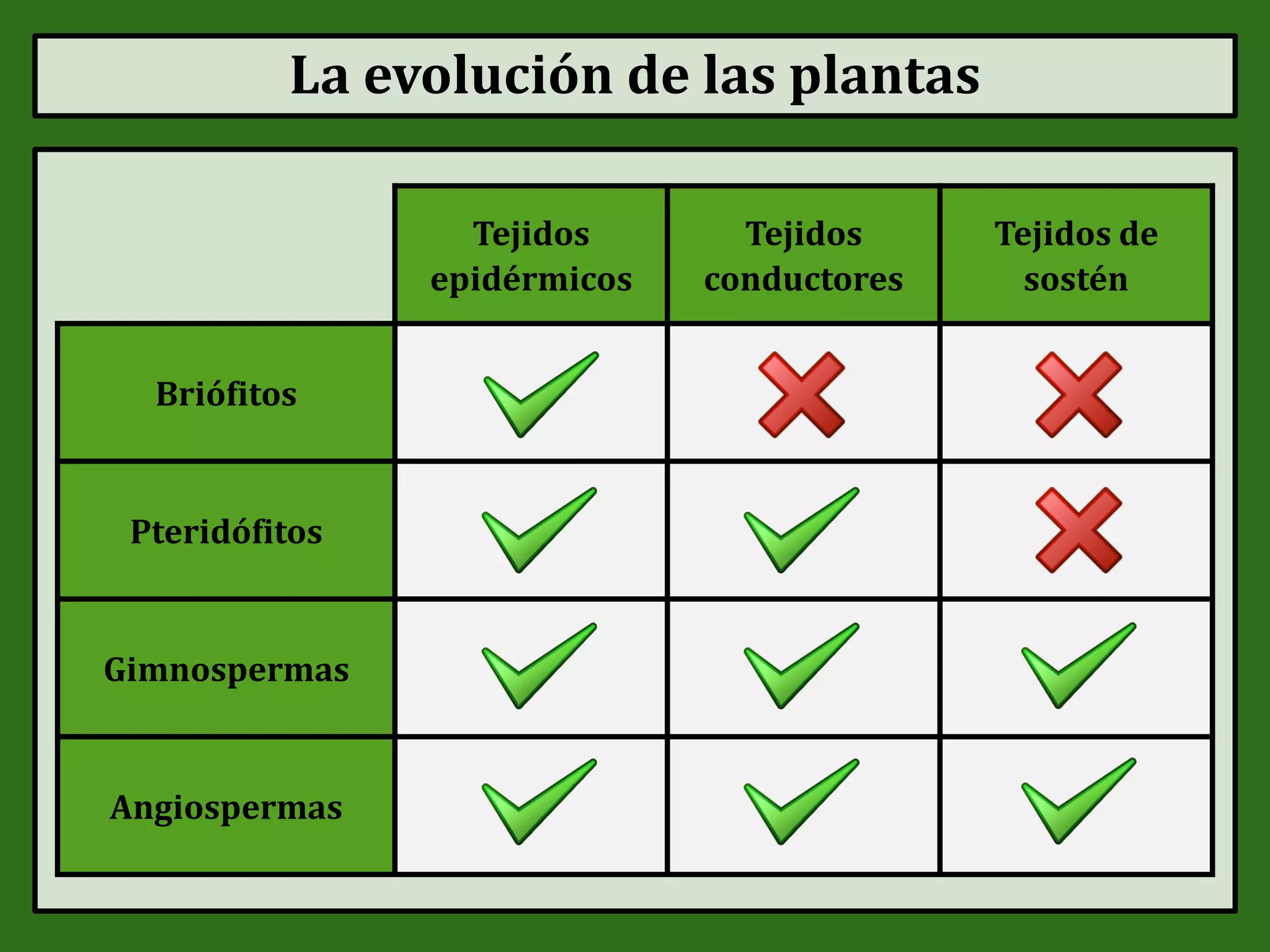 Cuadro De Clasificación Del Reino Vegetal