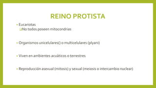 Reino protista | PPTX