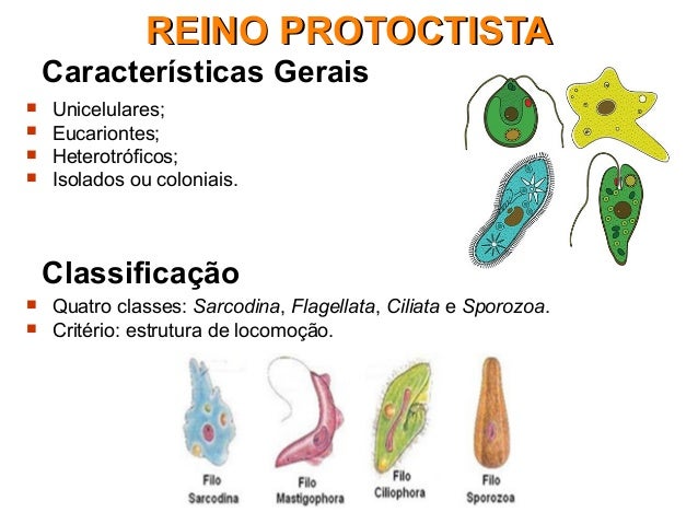 Operação Biologia: 2020