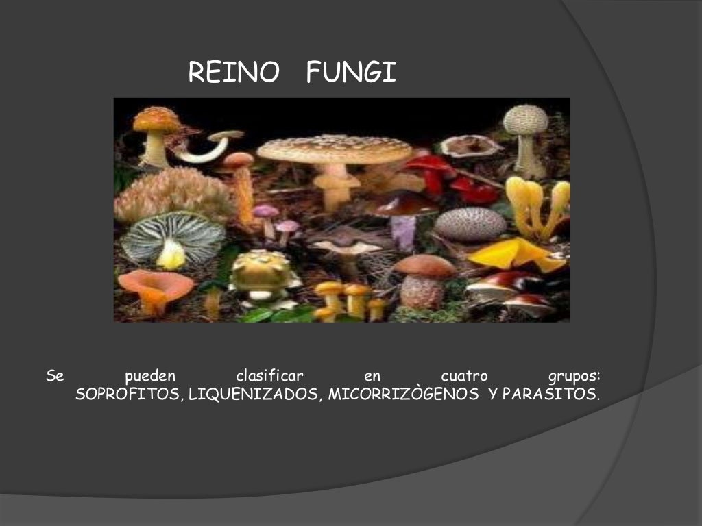 Los 5 reinos y los Tres dominios