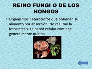 Reinos de la naturaleza | PPTX