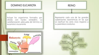 DOMINIO EUCARIA | PPTX