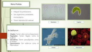 DOMINIO EUCARIA | PPTX
