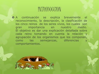 Reinos de los seres vivos | PPTX