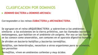 Reinos monera,protooz, hongo | PPT