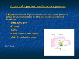Reinos parte ii agrupamento | PDF