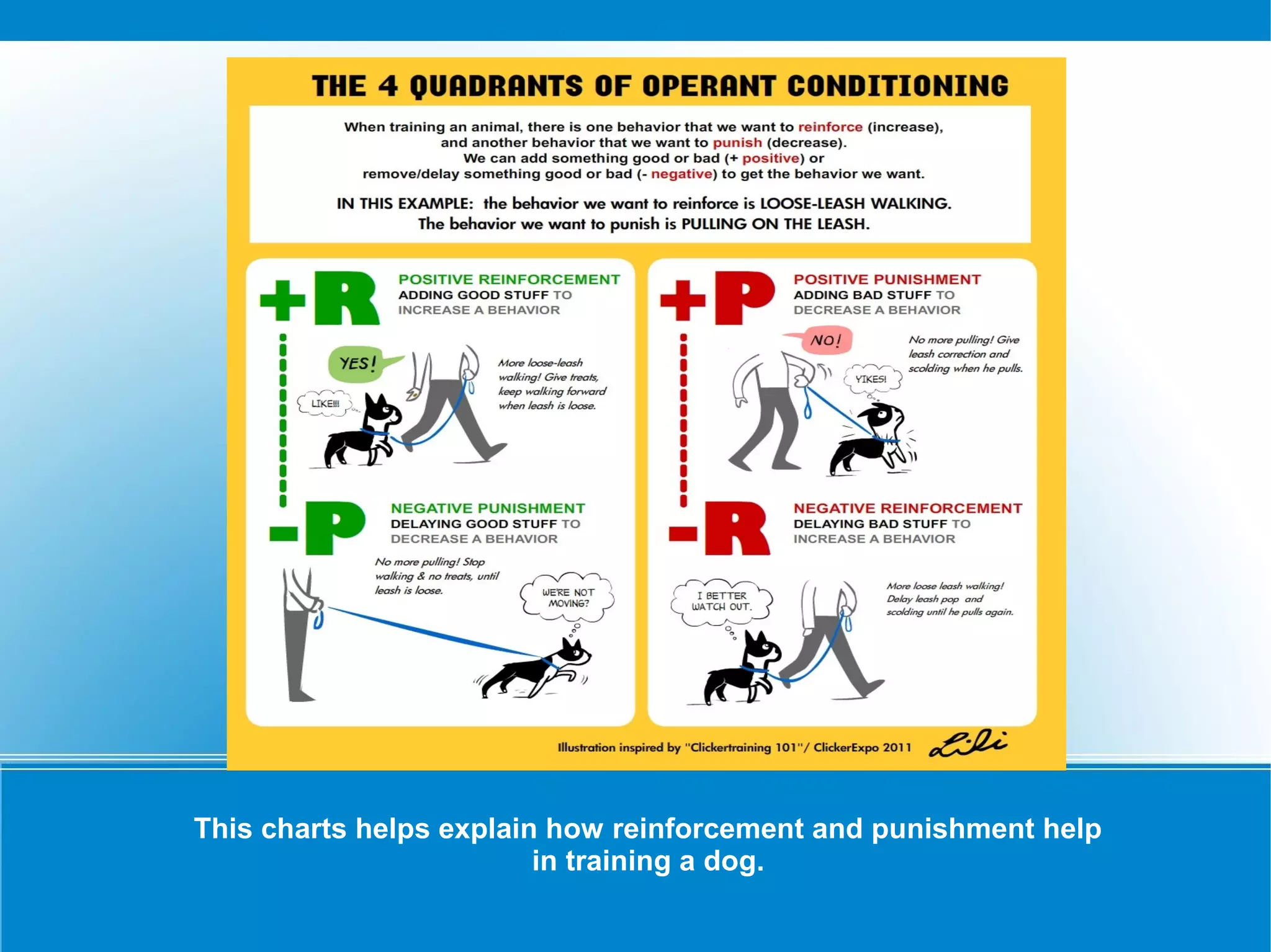 Reinforcement & Punishment | ODP