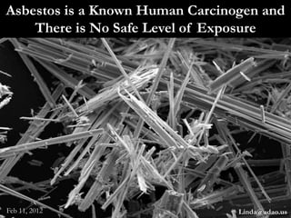Linda Reinstein: Miles for Meso: “Asbestos: Still Lethal and Legal in ...