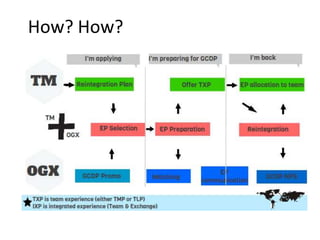 Reintegration campaign | PPTX