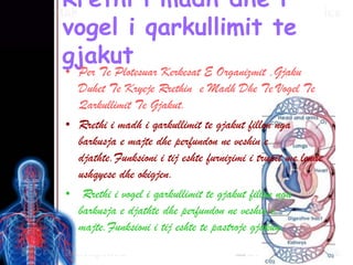 Reisa Haveri Sistemi i qarkullimit te gjakut shkolla "Albanet" klasa ...