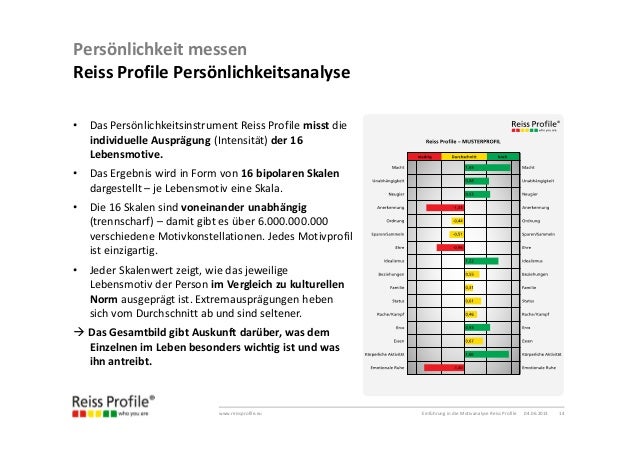 Reiss Profile: Einführung in die Persönlichkeitsanalyse