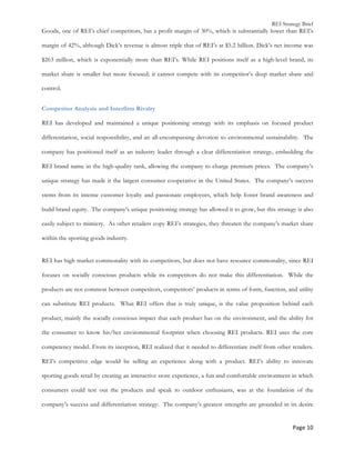 REI Strategy Brief | PDF