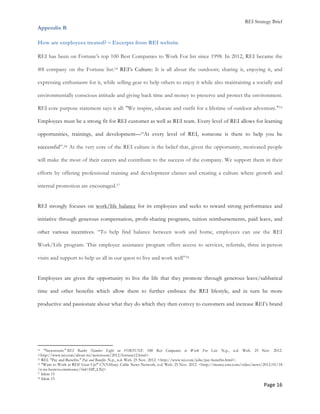 REI Strategy Brief | PDF