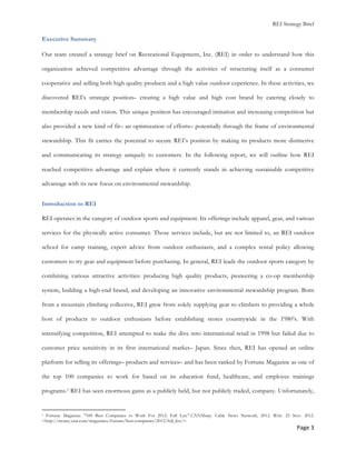 REI Strategy Brief | PDF