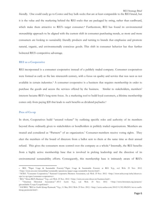 REI Strategy Brief | PDF