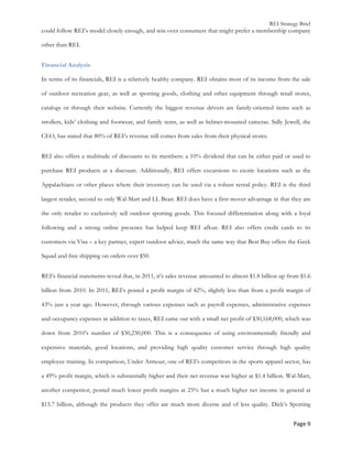 REI Strategy Brief | PDF