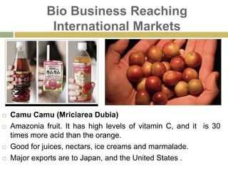 Presentation Peruvian Amazonia | PPTX | Herbs and Supplements ...