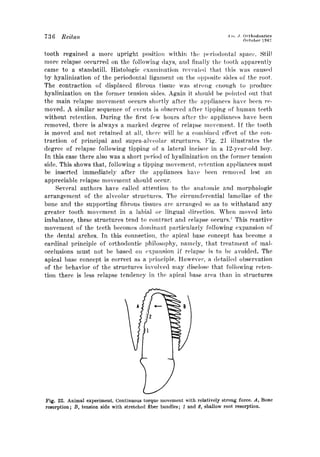 Reitan fuerzas ajo 1967 153 721 | PDF