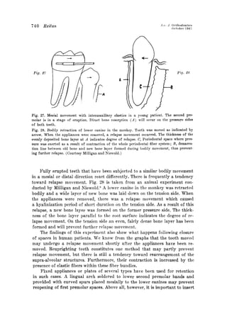 Reitan fuerzas ajo 1967 153 721 | PDF