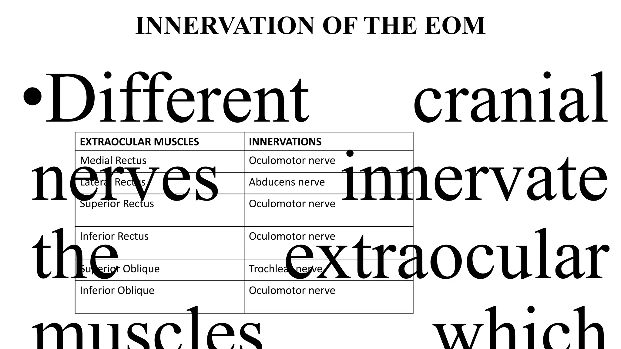 OCULAR MOTILITY, OCULAR MOVEMENT OF THE EYE .pptx