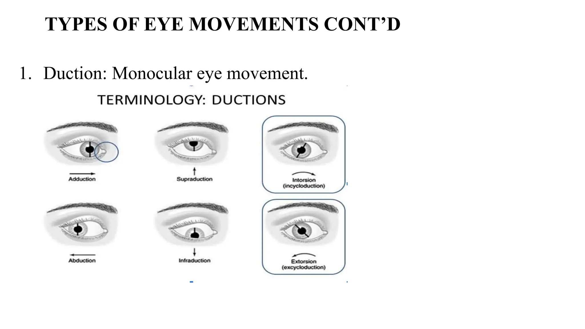 OCULAR MOTILITY, OCULAR MOVEMENT OF THE EYE .pptx