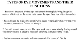 OCULAR MOTILITY, OCULAR MOVEMENT OF THE EYE .pptx