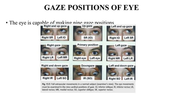 OCULAR MOTILITY, OCULAR MOVEMENT OF THE EYE .pptx