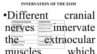 OCULAR MOTILITY, OCULAR MOVEMENT OF THE EYE .pptx