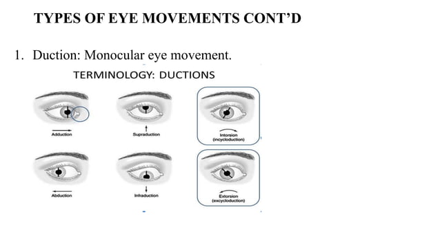 OCULAR MOTILITY, OCULAR MOVEMENT OF THE EYE .pptx