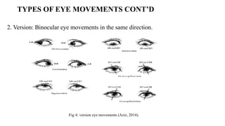 OCULAR MOTILITY, OCULAR MOVEMENT OF THE EYE .pptx