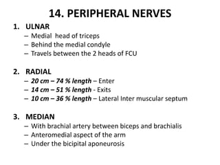 Distal Humerus Fracture Management- Rejul | PPTX